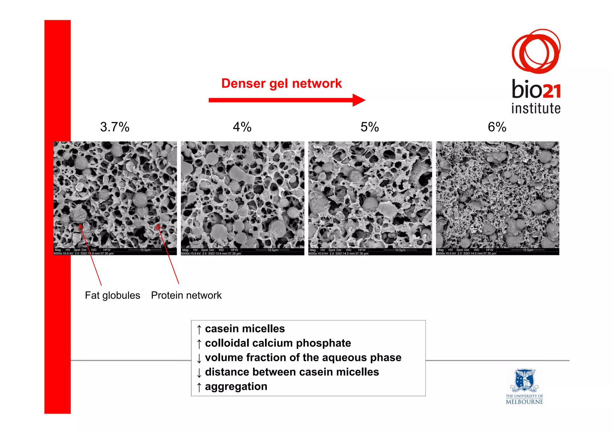 The Microstructure of Australian Cheddar Cheese and other Dairy ...