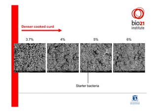 The Microstructure of Australian Cheddar Cheese and other Dairy ...