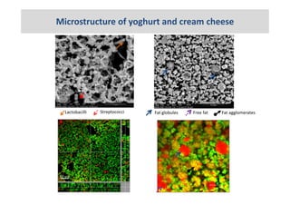 The Microstructure of Australian Cheddar Cheese and other Dairy ...