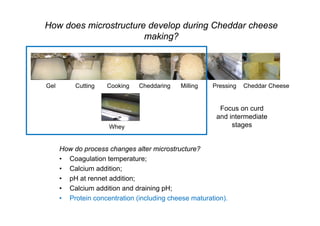The Microstructure of Australian Cheddar Cheese and other Dairy ...