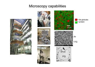 The Microstructure of Australian Cheddar Cheese and other Dairy ...