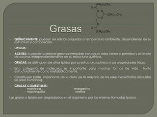 Grasas | PPT