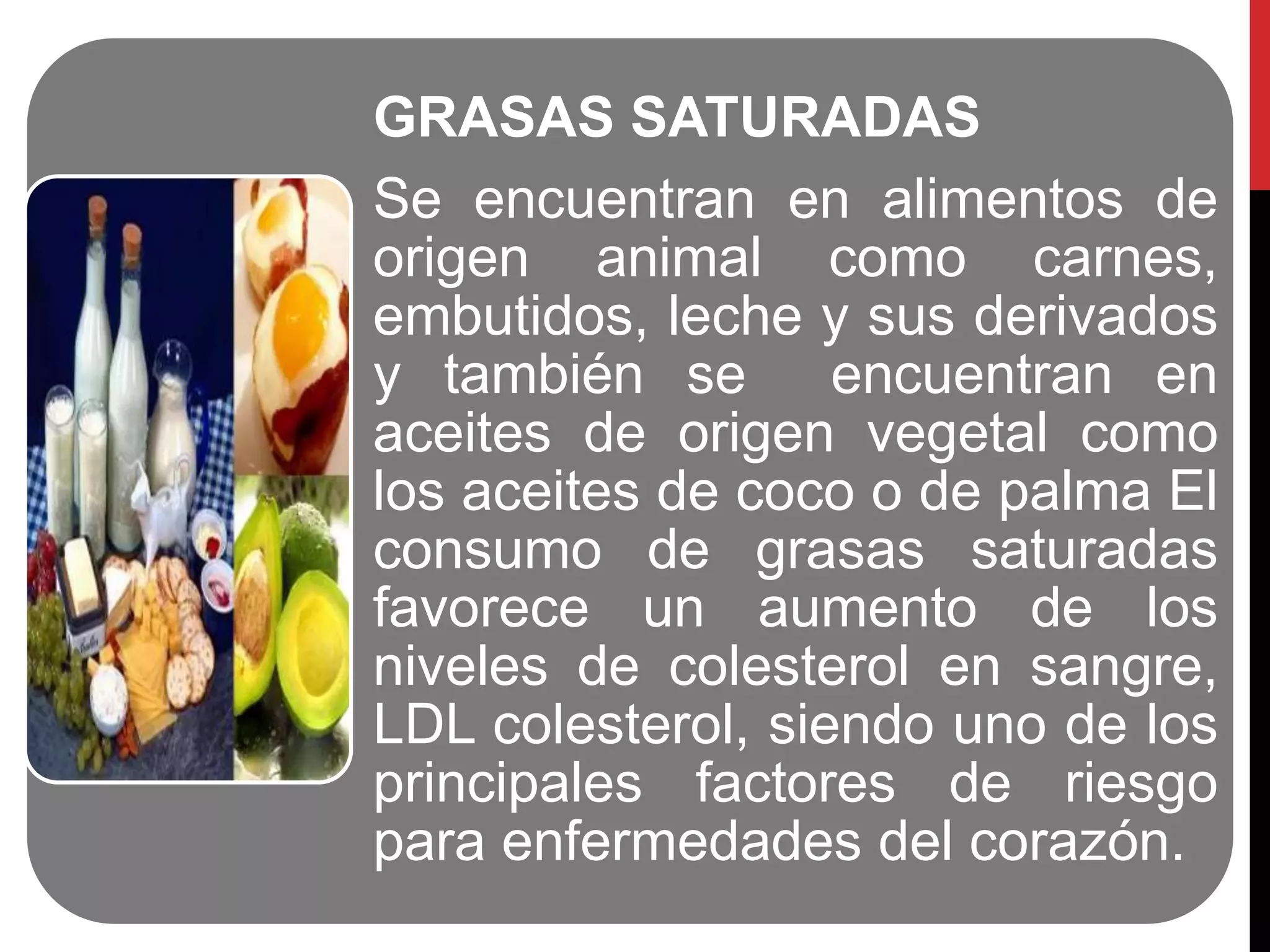 Grasas | PPT
