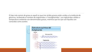 Grasas | PPTX