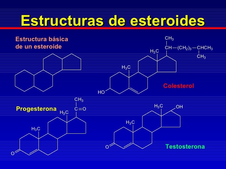 Unidad VI