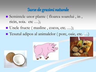 grasimi_10H_filo.ppt