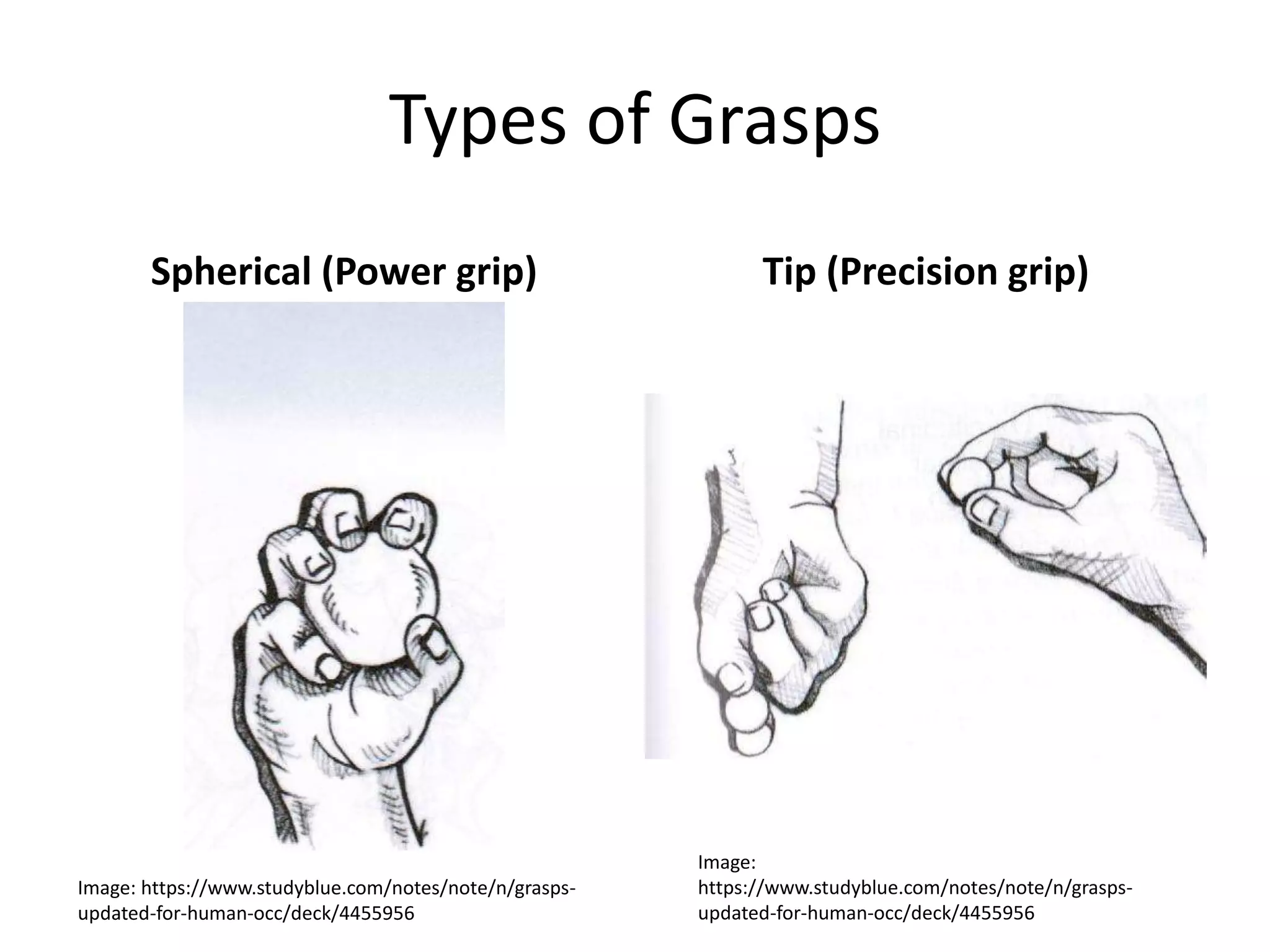 Classification of Grasp Patterns using sEMG | PPT