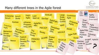 Henny Portman "Will the Project Manager survive in the Agile world?" | PPT