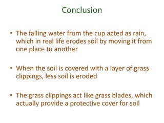 How does grass prevent soil erosion? | PPT