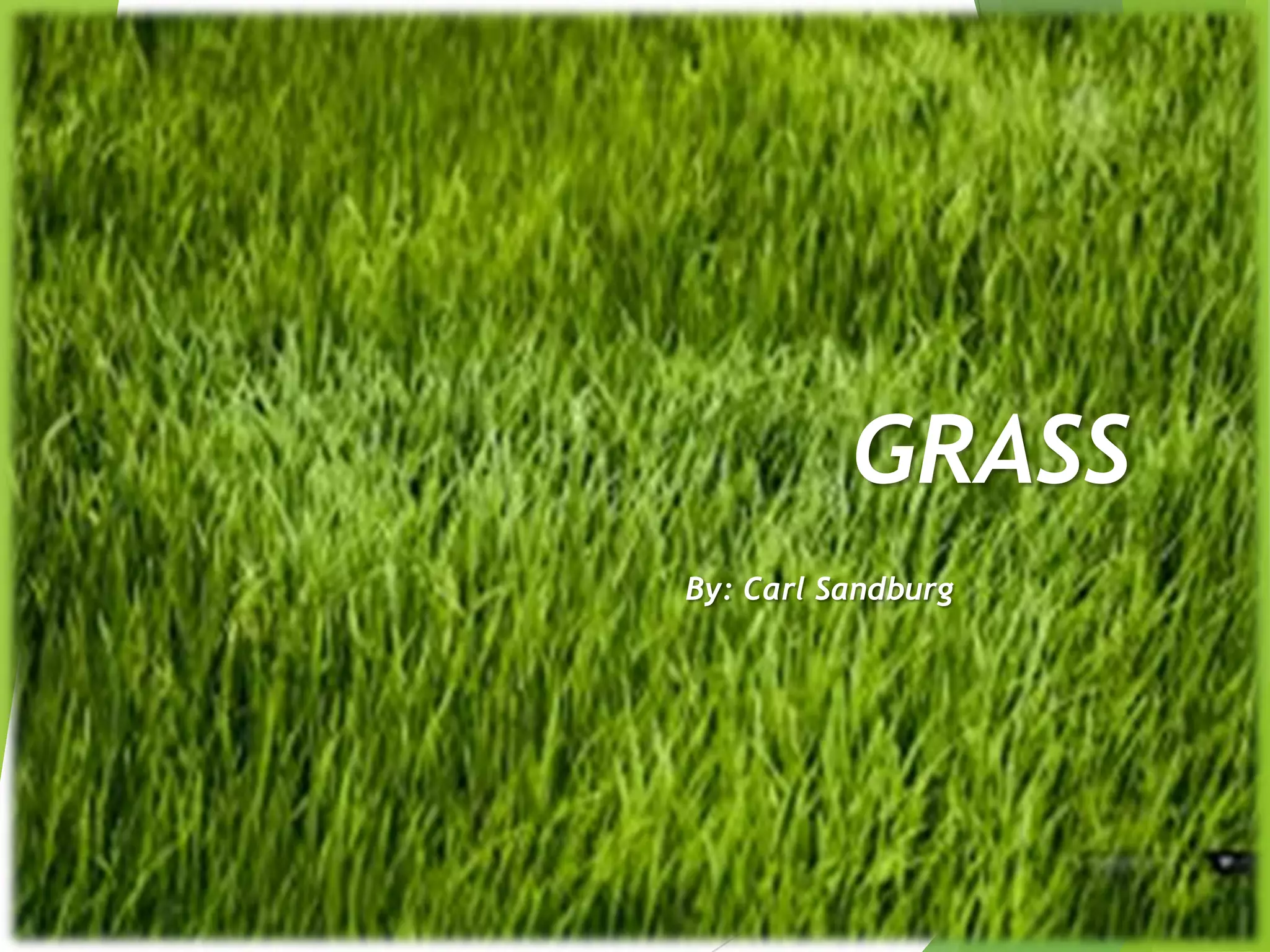 Grass | PPTX