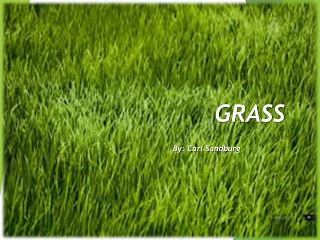 Grass | PPTX