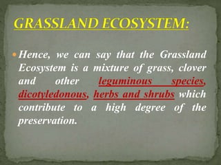 Grass land eco-system | PPTX