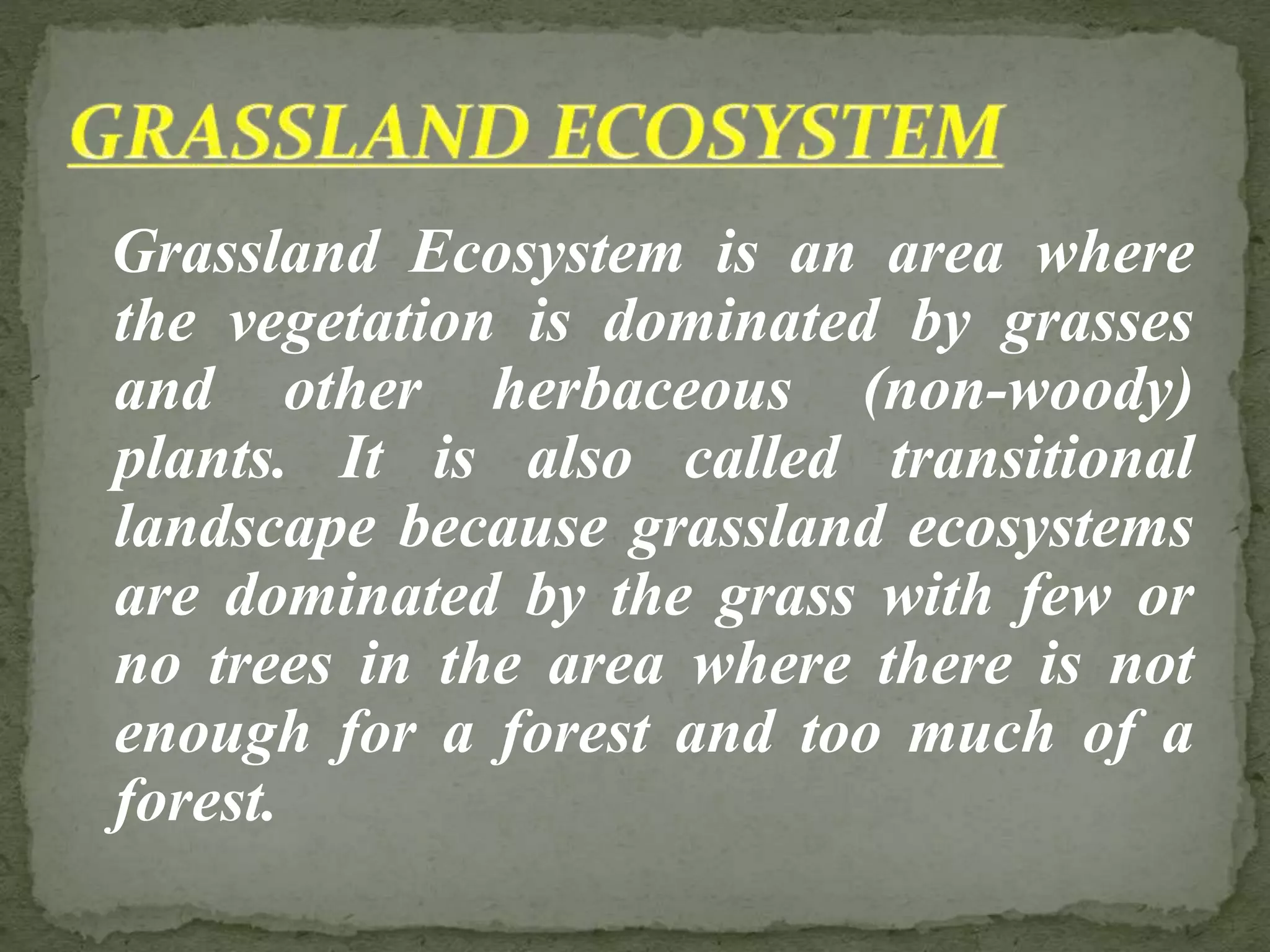 Grass land eco-system | PPTX