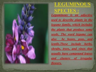 Grass land eco-system | PPT