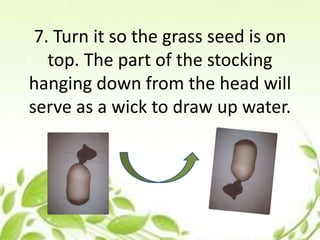 Grass buddies | PPTX