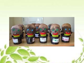 Grass buddies | PPTX