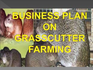 Grasscutter farming | PPTX