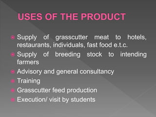 Grasscutter farming | PPTX