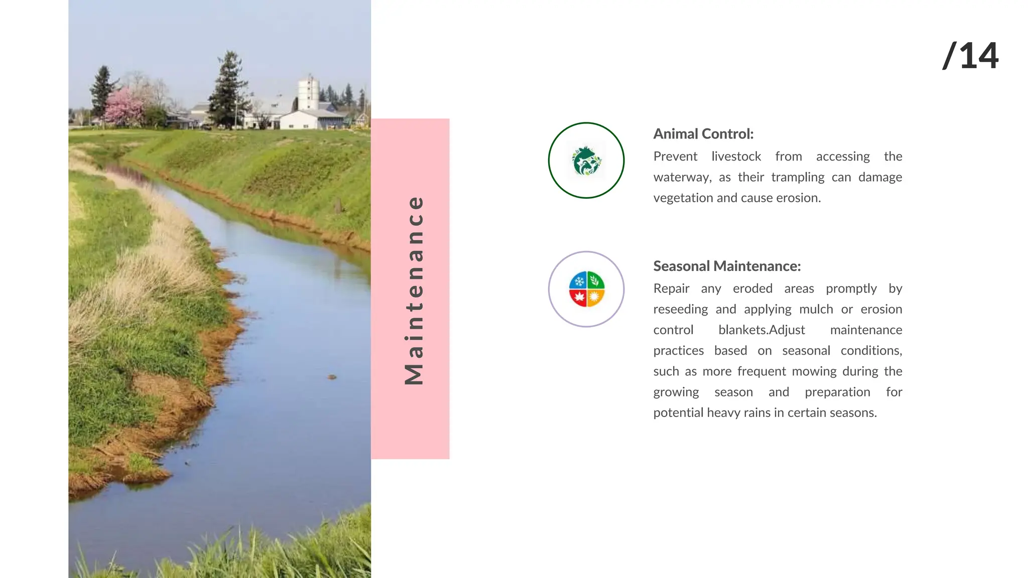 Grassed Waterways & Their Design....pptx