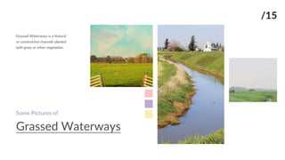 Grassed Waterways & Their Design....pptx