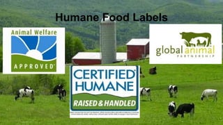 Humane vs Industrial meat | PPTX