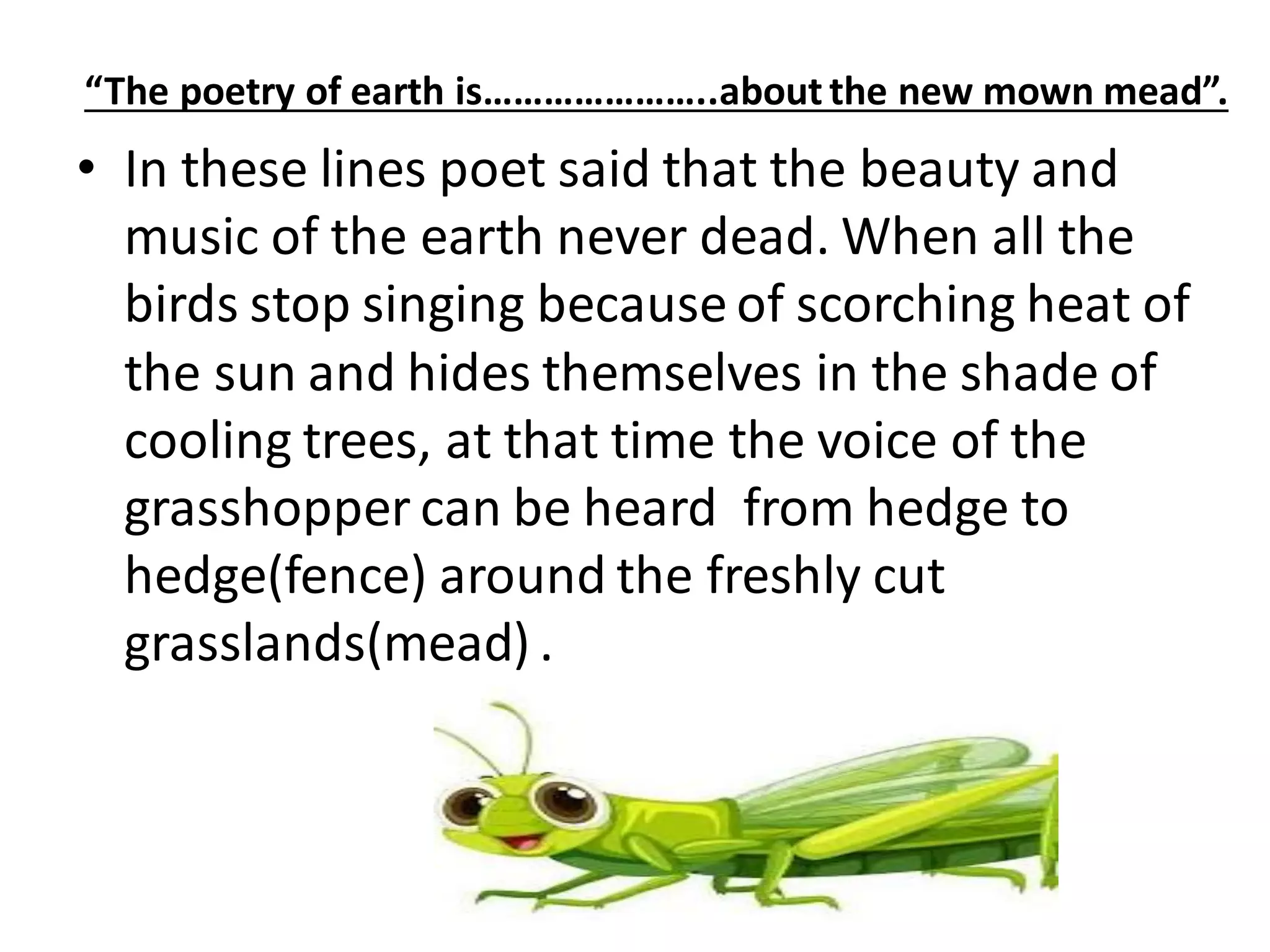 grasshopper and cricket.pdf