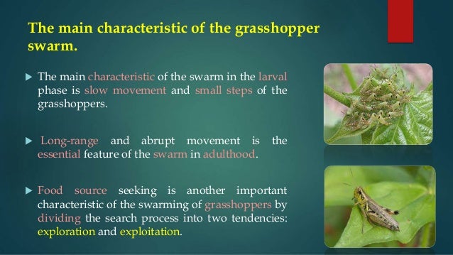 Grasshopper Optimization Algorithm