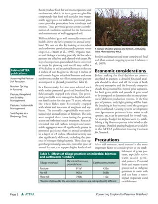 Converting Cropland to Perennial Grassland | PDF