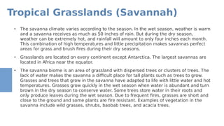 Grassland as an ecosystem | PDF