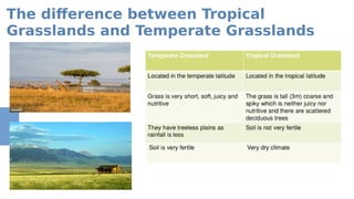 Grassland as an ecosystem | PDF