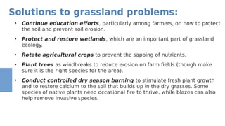 Grassland as an ecosystem | PDF