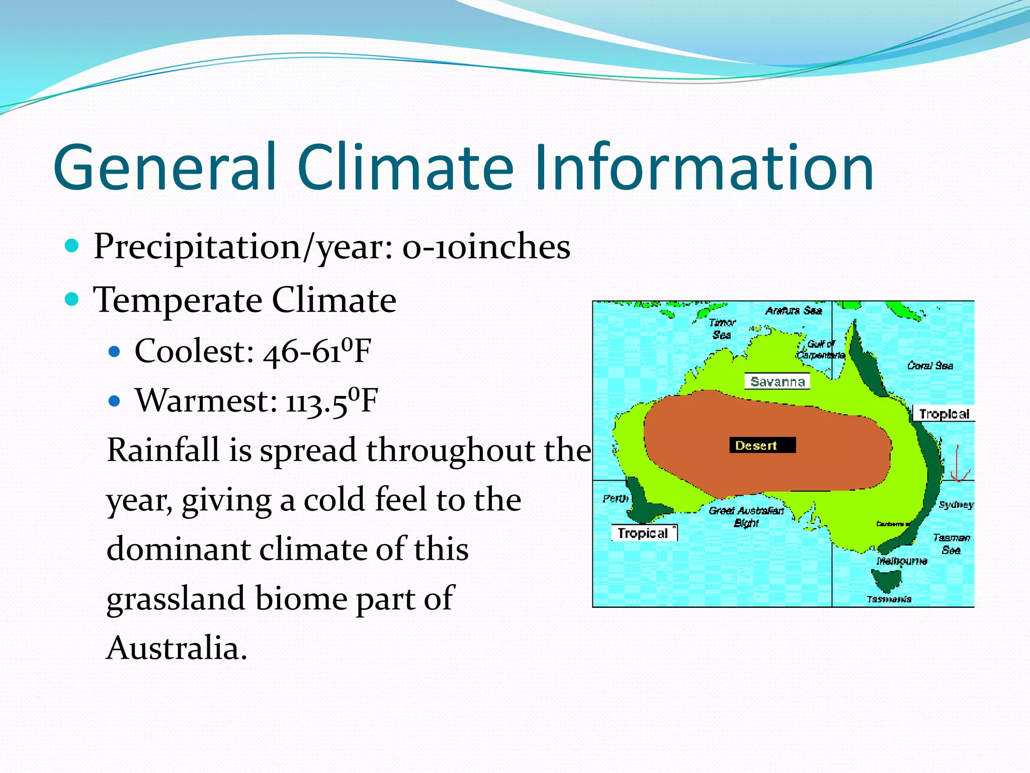 Grassland Biome Ppt