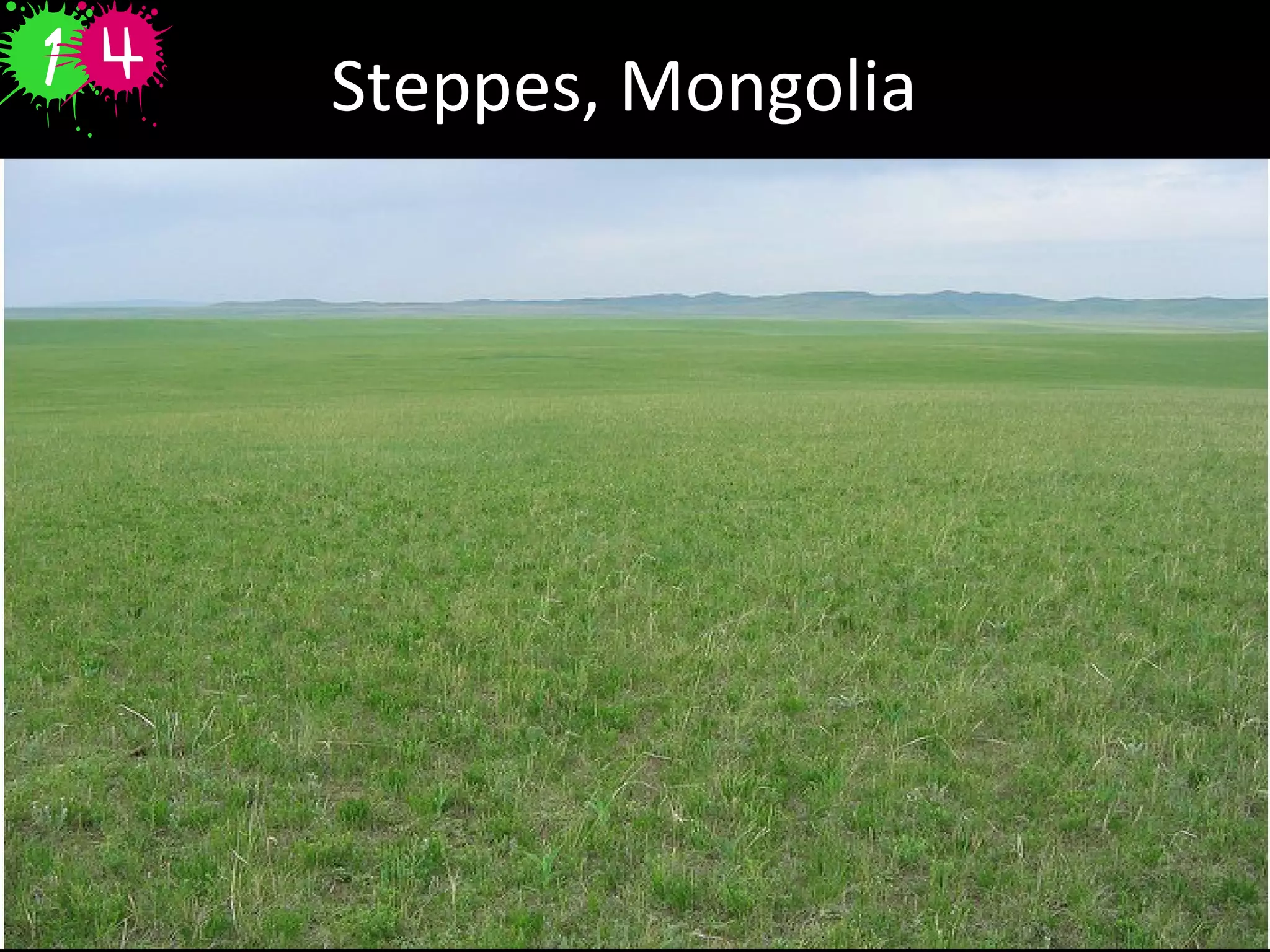 Grass land & desert ecosystem | PPT