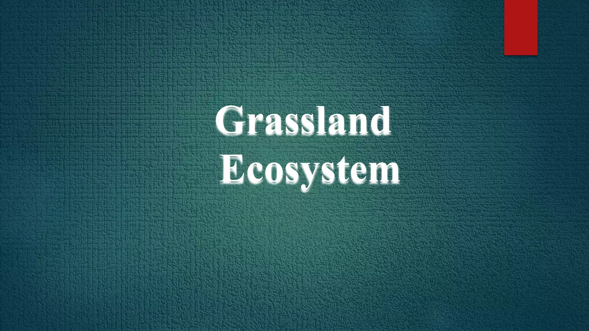 Grassland ecosystem | PPTX