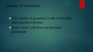 Grassland ecosystem | PPTX