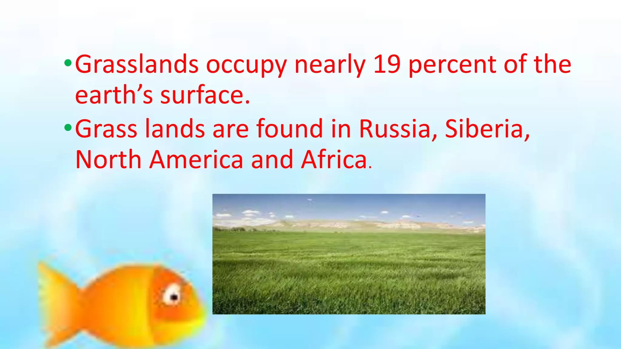 Grass land ecosystem | PPTX