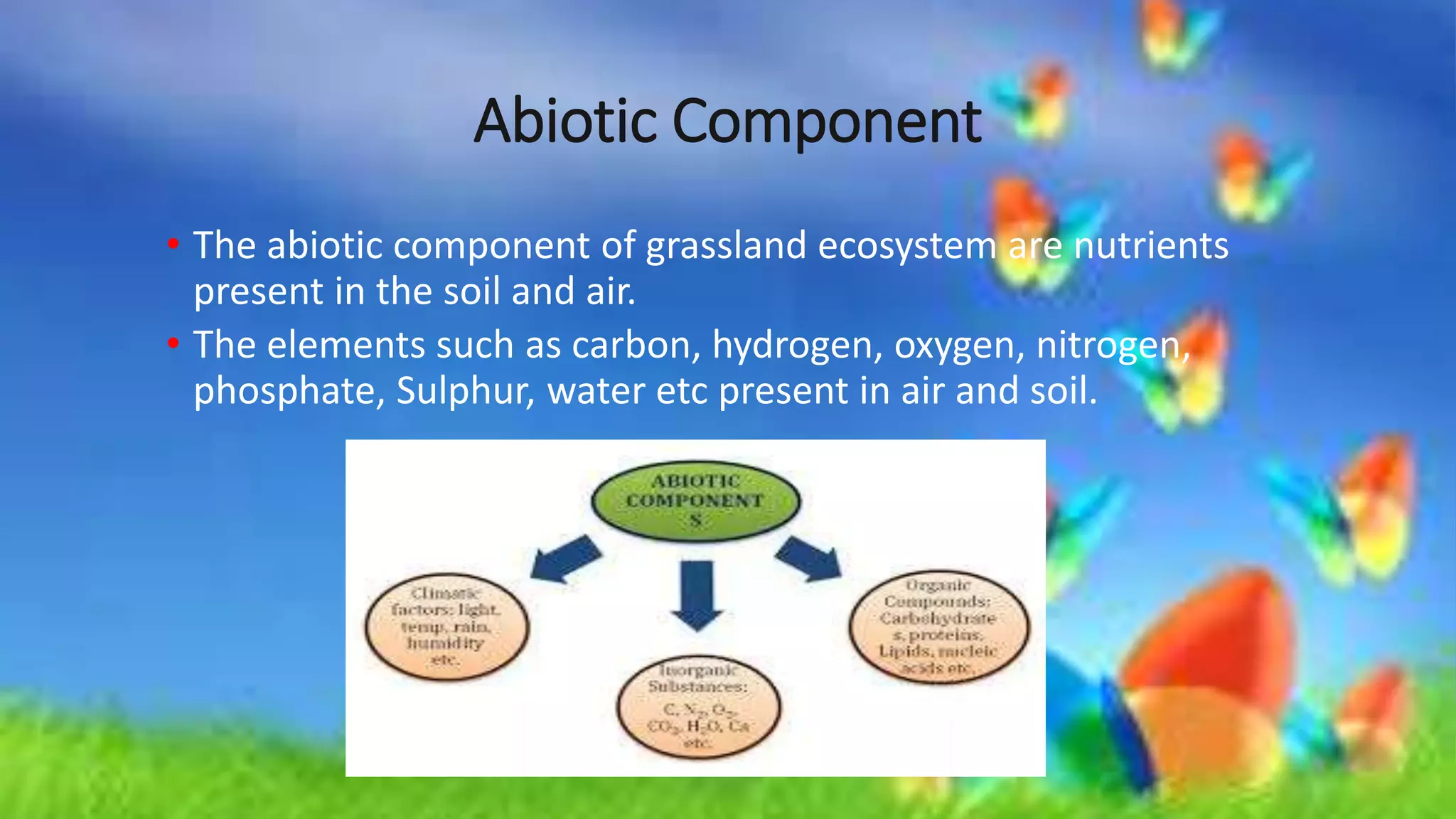 Grass land ecosystem | PPTX