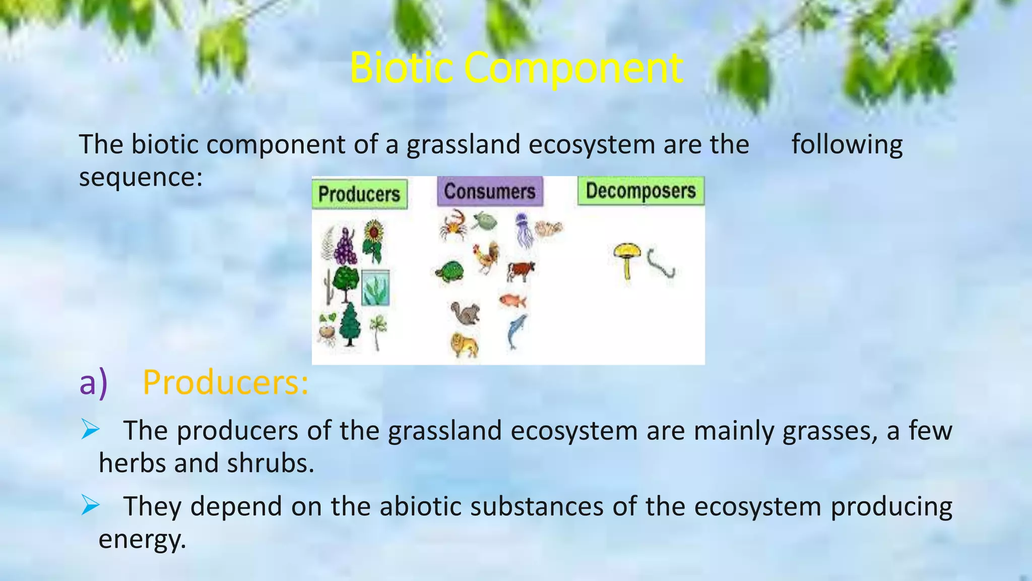 Grass land ecosystem | PPTX