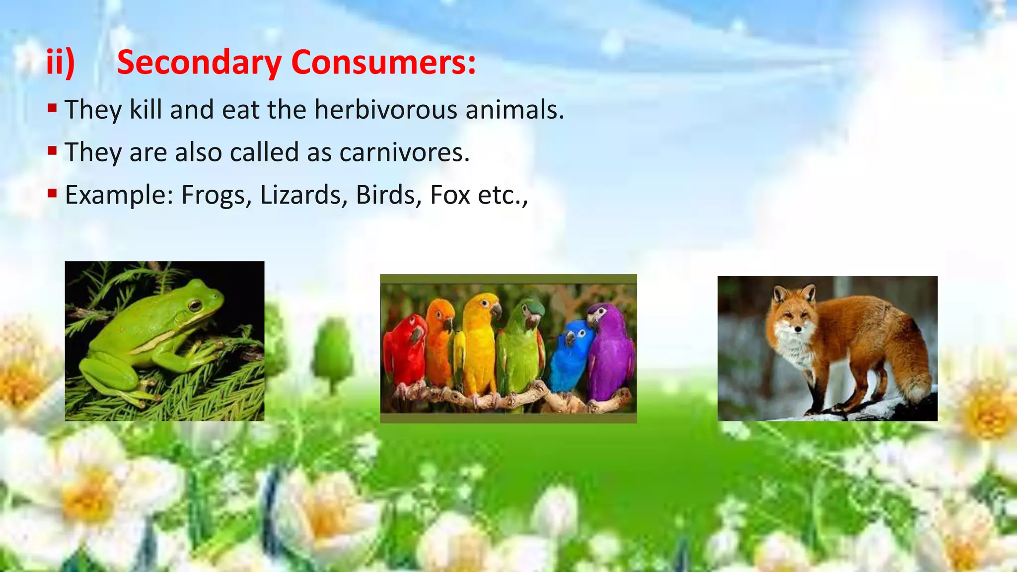 Grass land ecosystem | PPTX