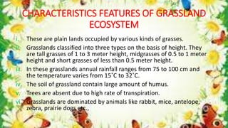 Grass land ecosystem | PPTX