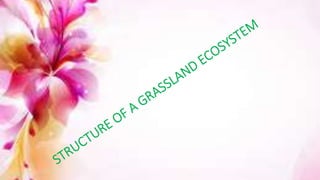 Grass land ecosystem | PPTX
