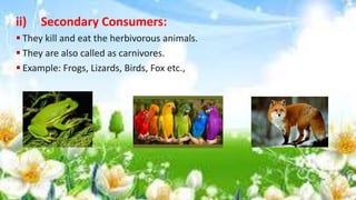 Grass land ecosystem | PPTX