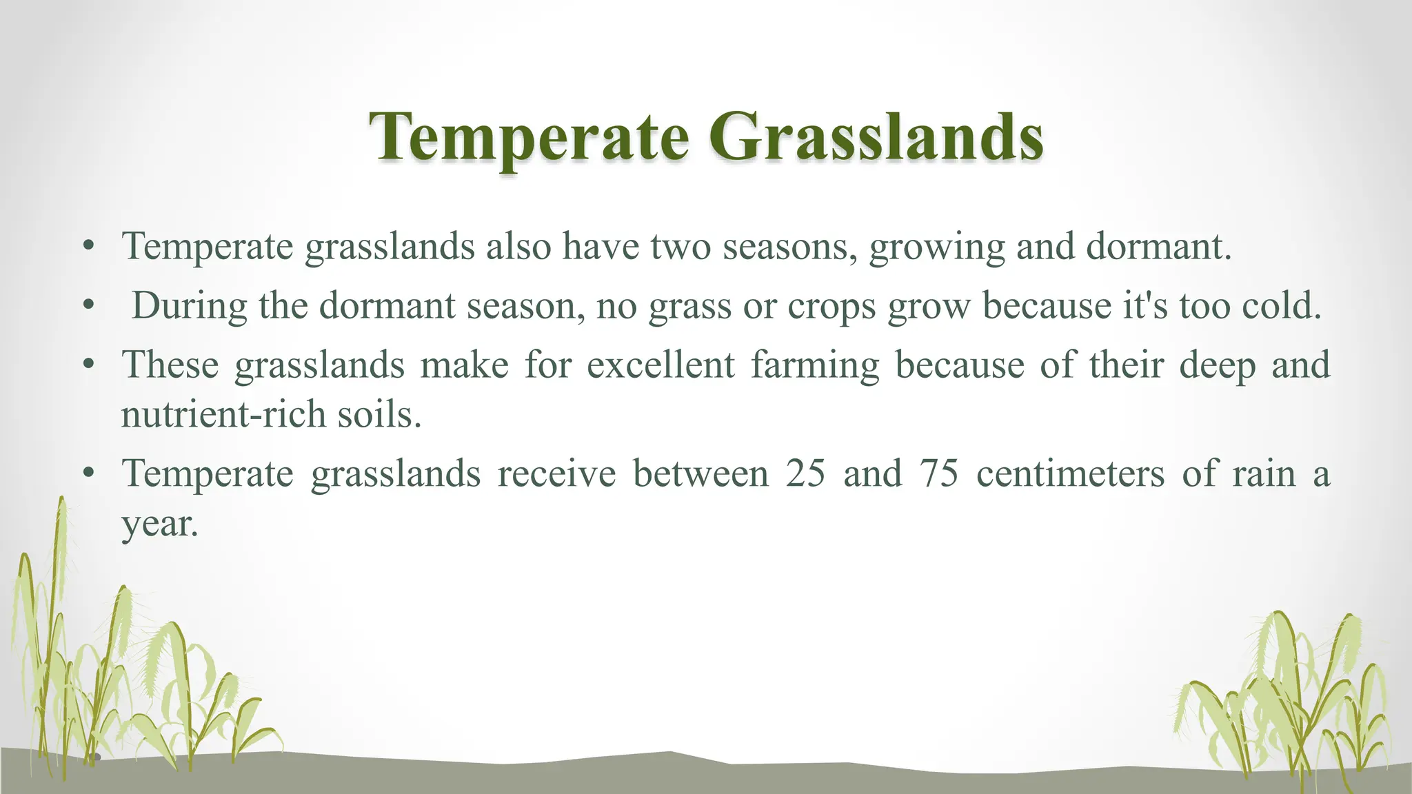 grasslandecosystem-19071315555500505.pdf