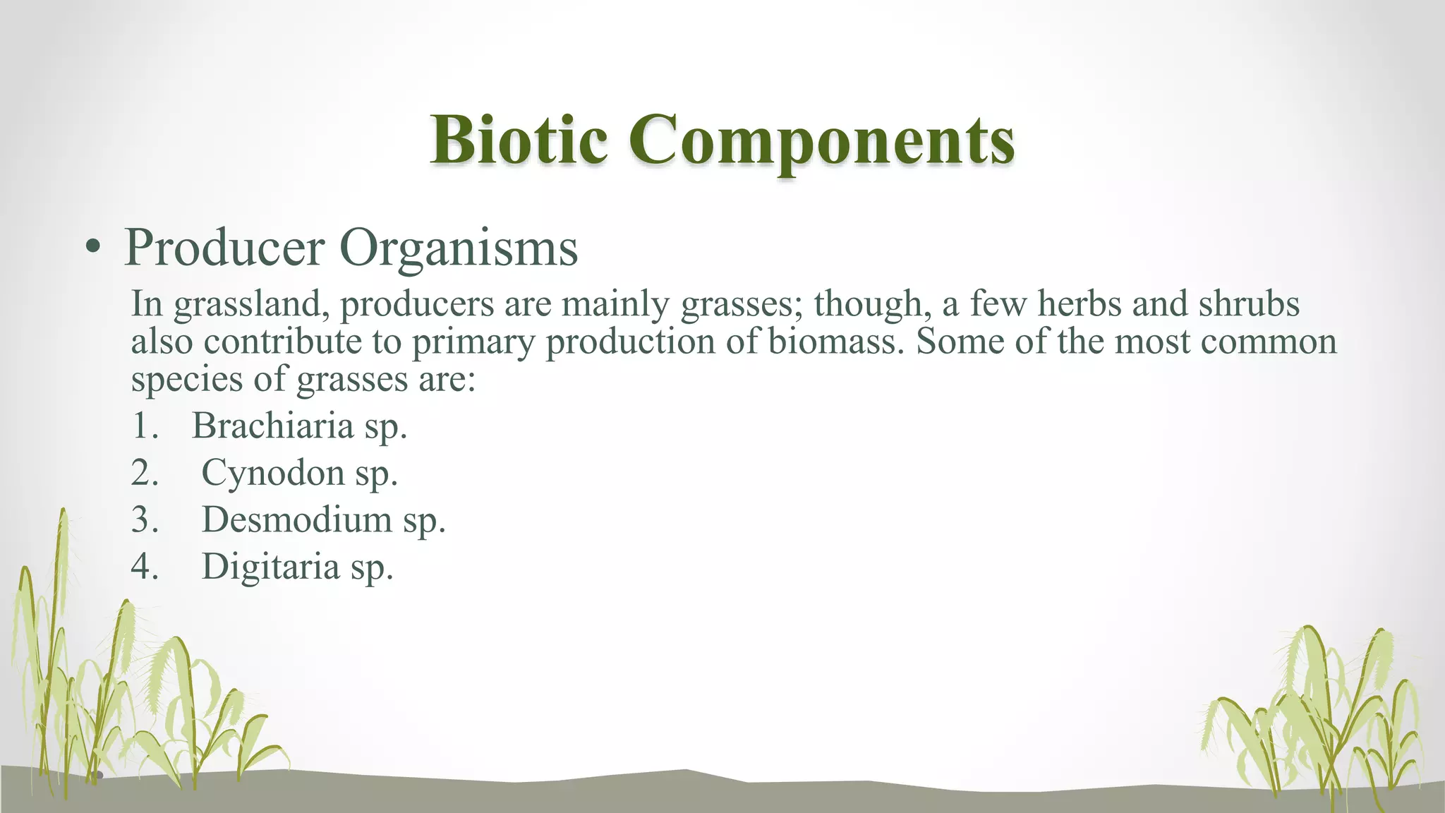 Grassland ecosystem | PPTX