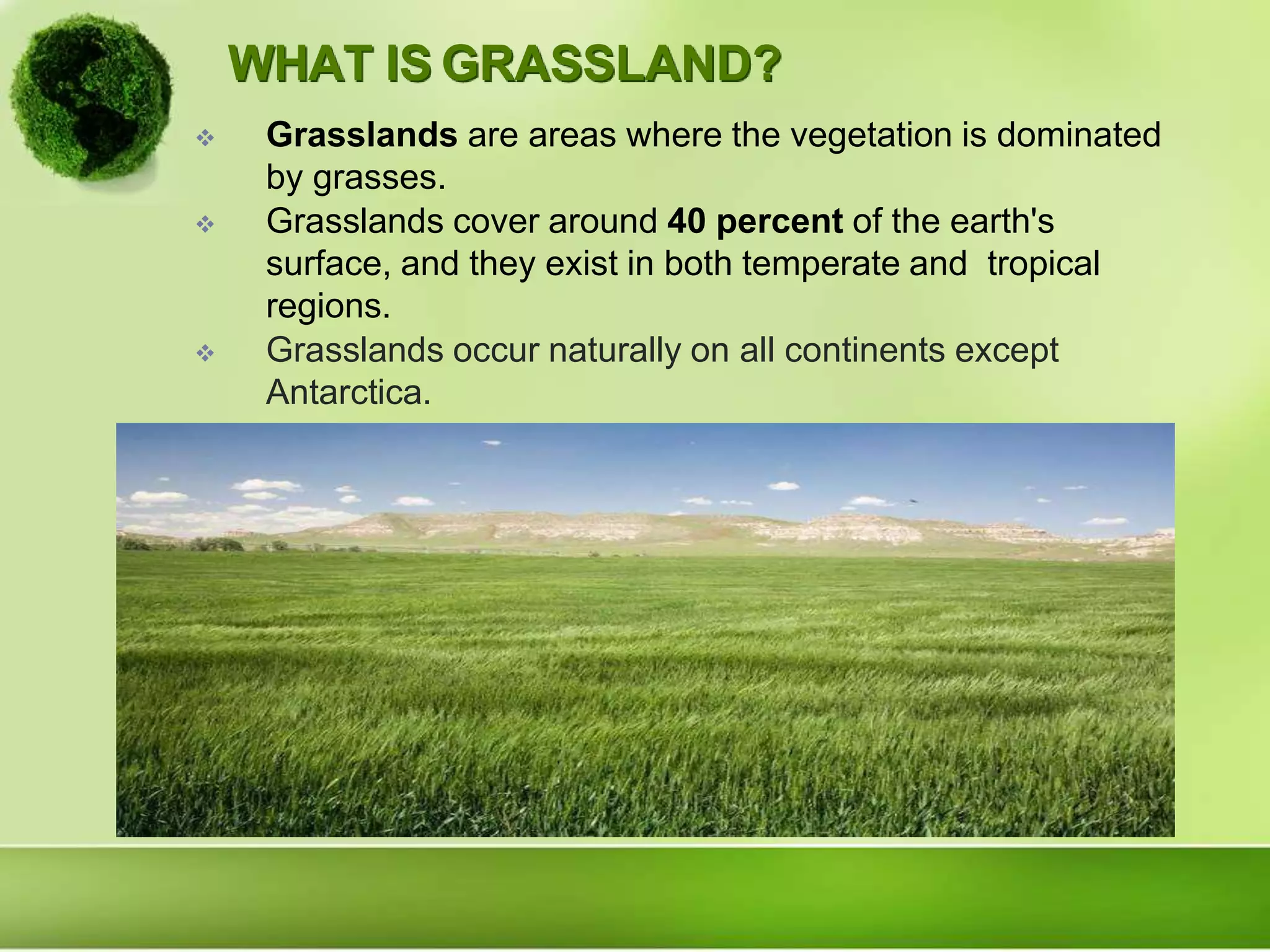 Grassland ecosystem | PPTX