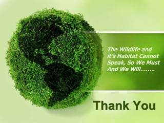 Grassland ecosystem | PPTX