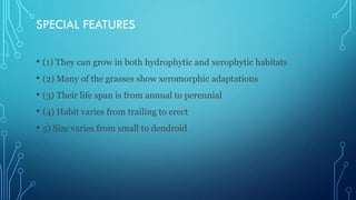 Grassland ecosystem | PDF