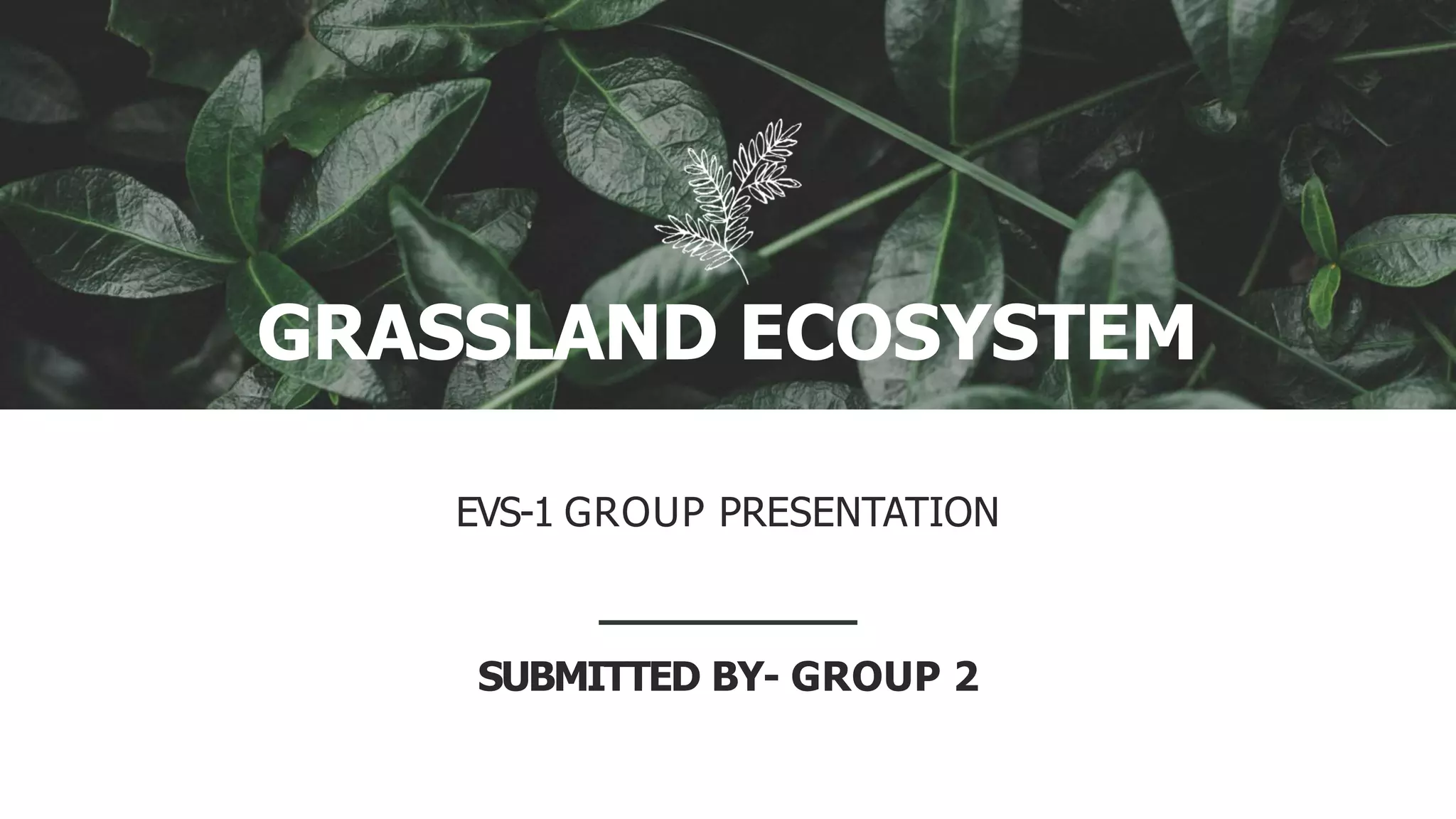 Grassland ecosystem.pptx