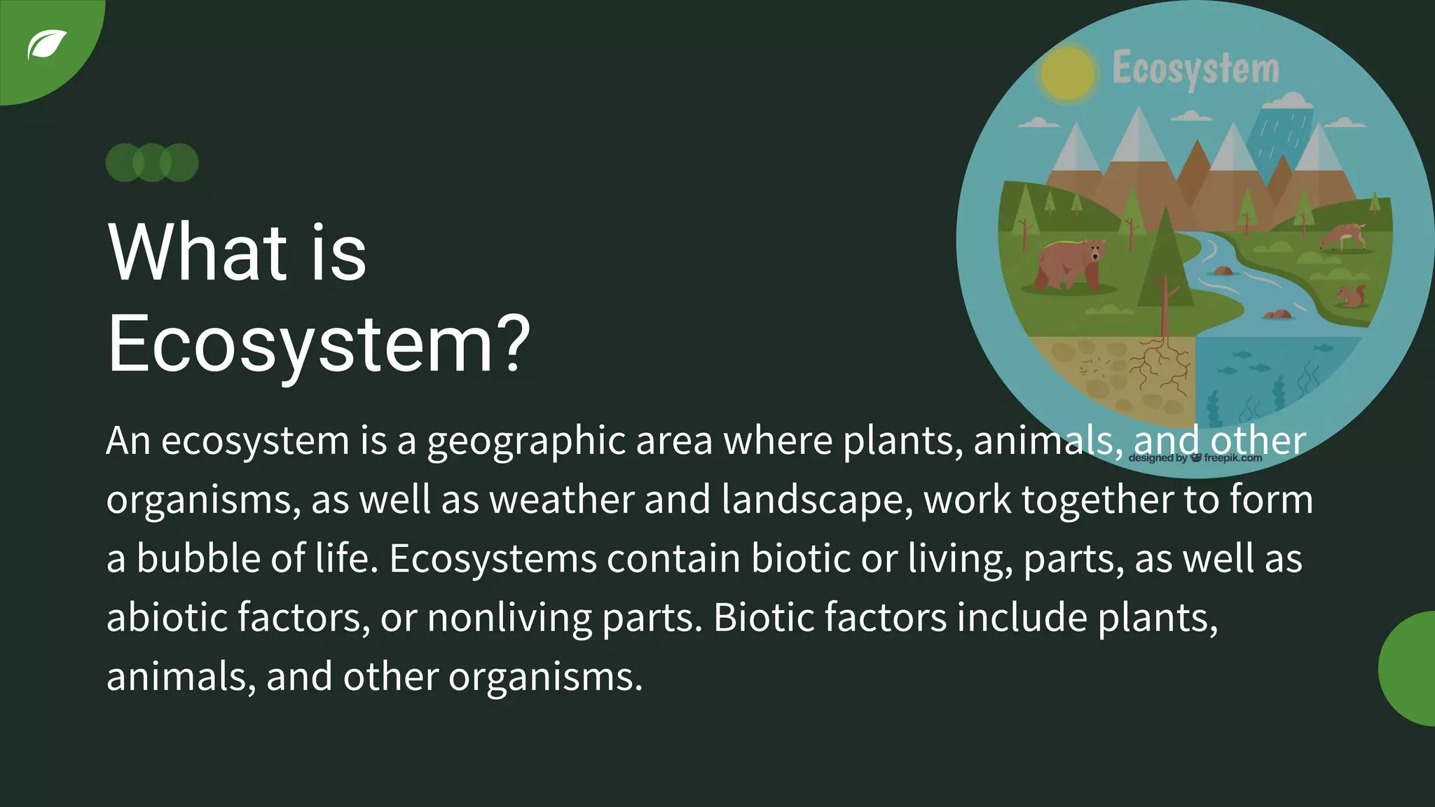 Grassland ecosystem.pdf
