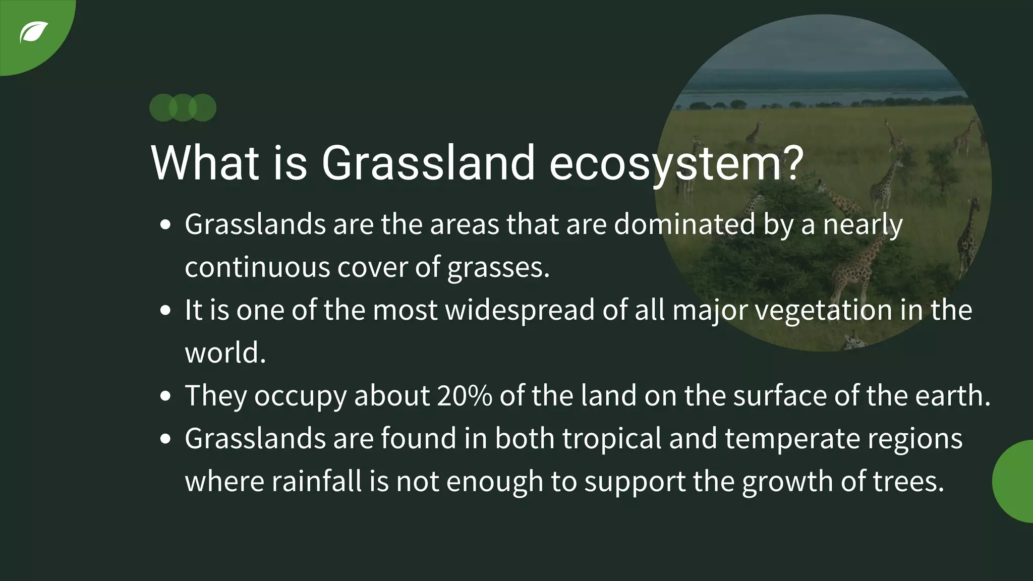 Grassland ecosystem.pdf